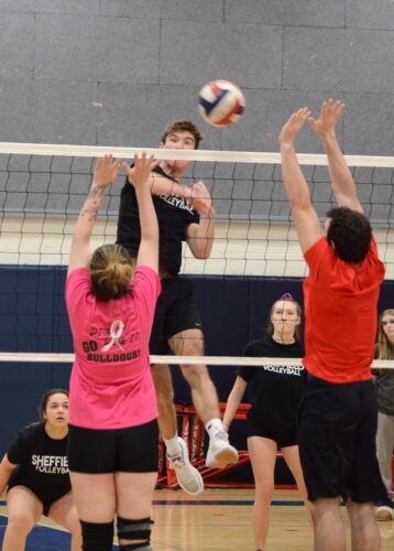 Volleyball Classic serves up support for CASA | News, Sports, Jobs ...
