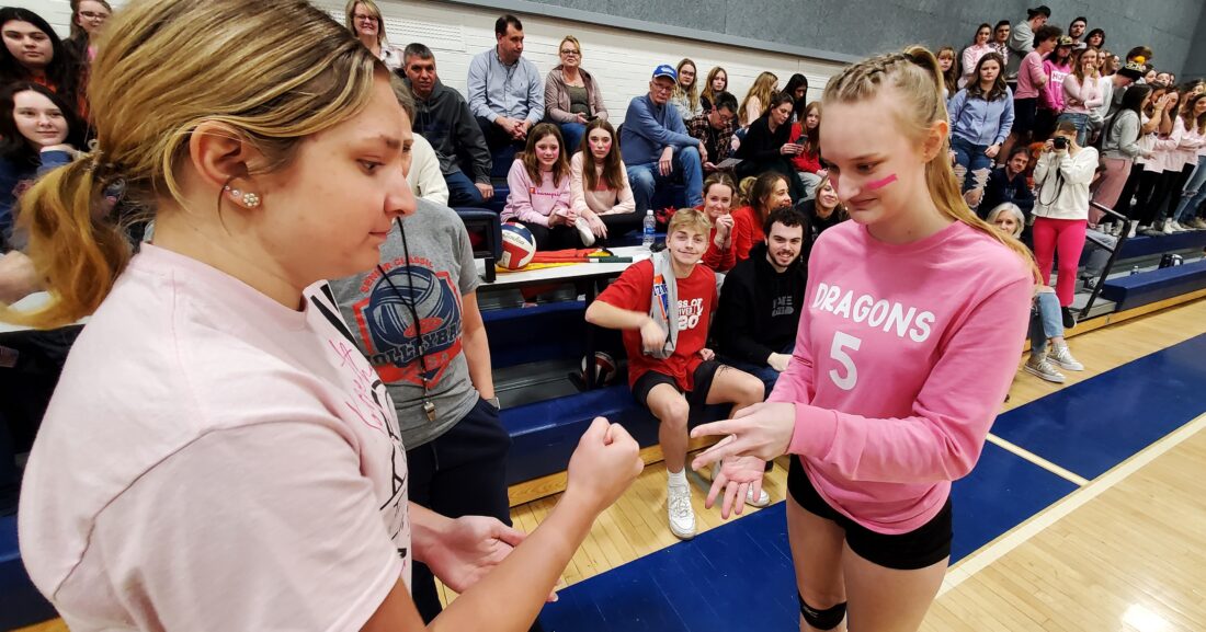 Volleyball Classic serves up support for CASA | News, Sports, Jobs ...